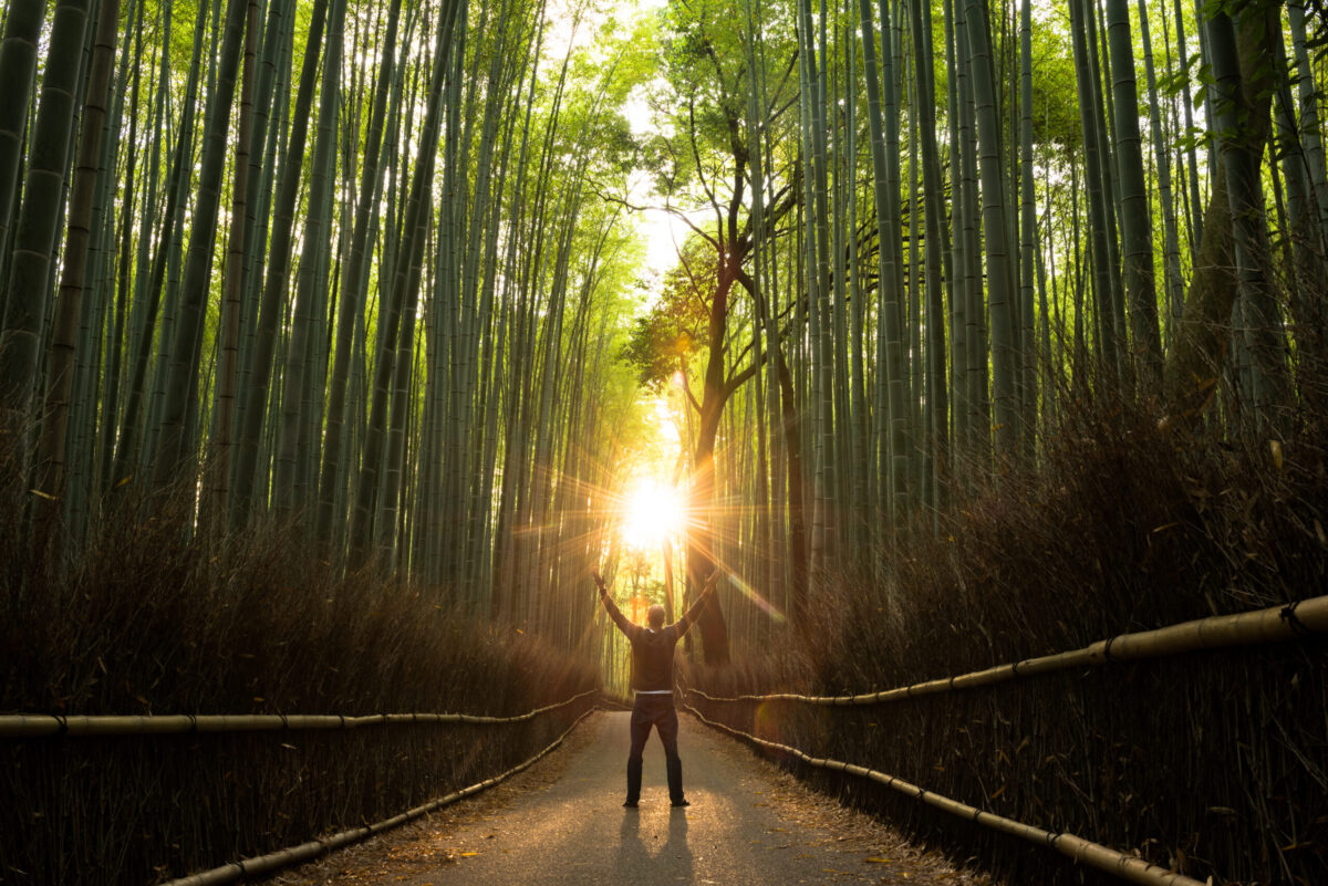 Embodied Resilience – Coaching & Embodiment